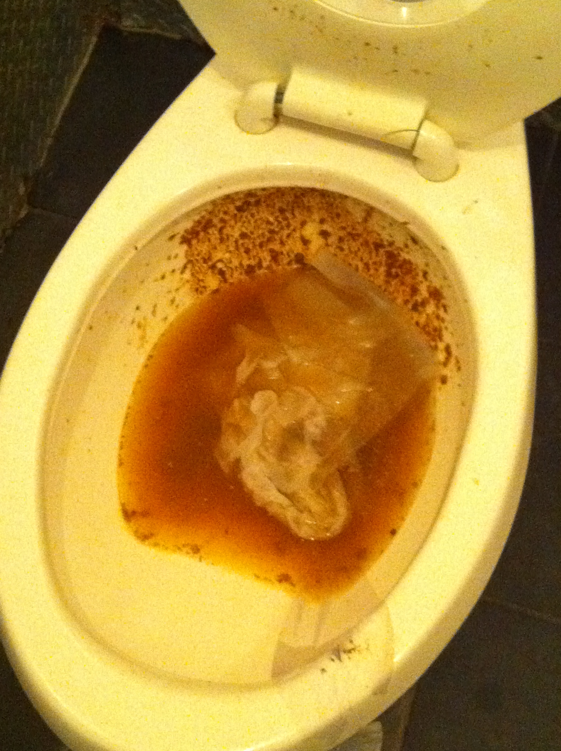 EPIC POOP GALLERY Gallery EBaum s World