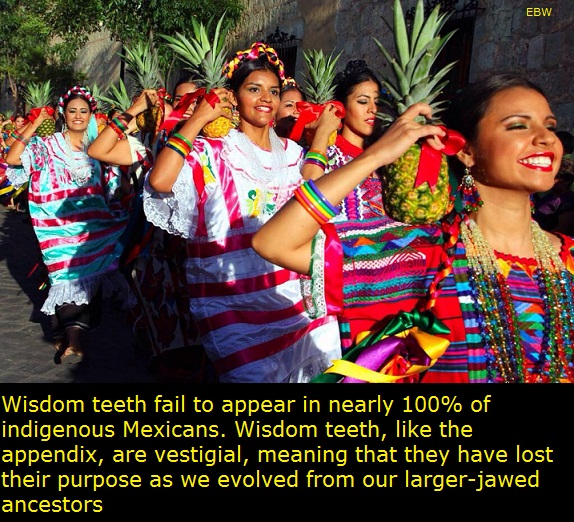 21 Interesting Facts About Mexico Gallery EBaum s World 21 Interesting Facts About Mexico Gallery EBaum s World