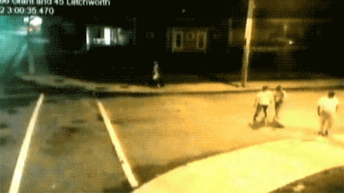 WTF GIF Dump | eBaum's World