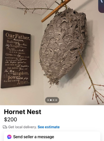 21 Delightfully Weird Things For Sale on Facebook Marketplace | eBaum's ...