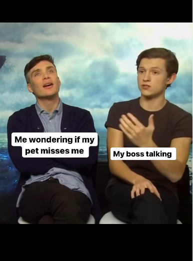 20 Mid-Week Work Memes and Tweets to Help You Make It to Friday | eBaum ...