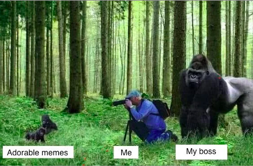 20 Mid-Week Work Memes and Tweets to Help You Make It to Friday | eBaum ...