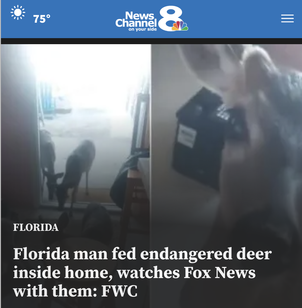 15 Wildest Florida Man Headlines | eBaum's World