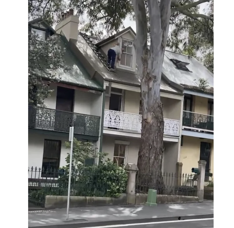 20 Construction Fails and OSHA Violations | eBaum's World