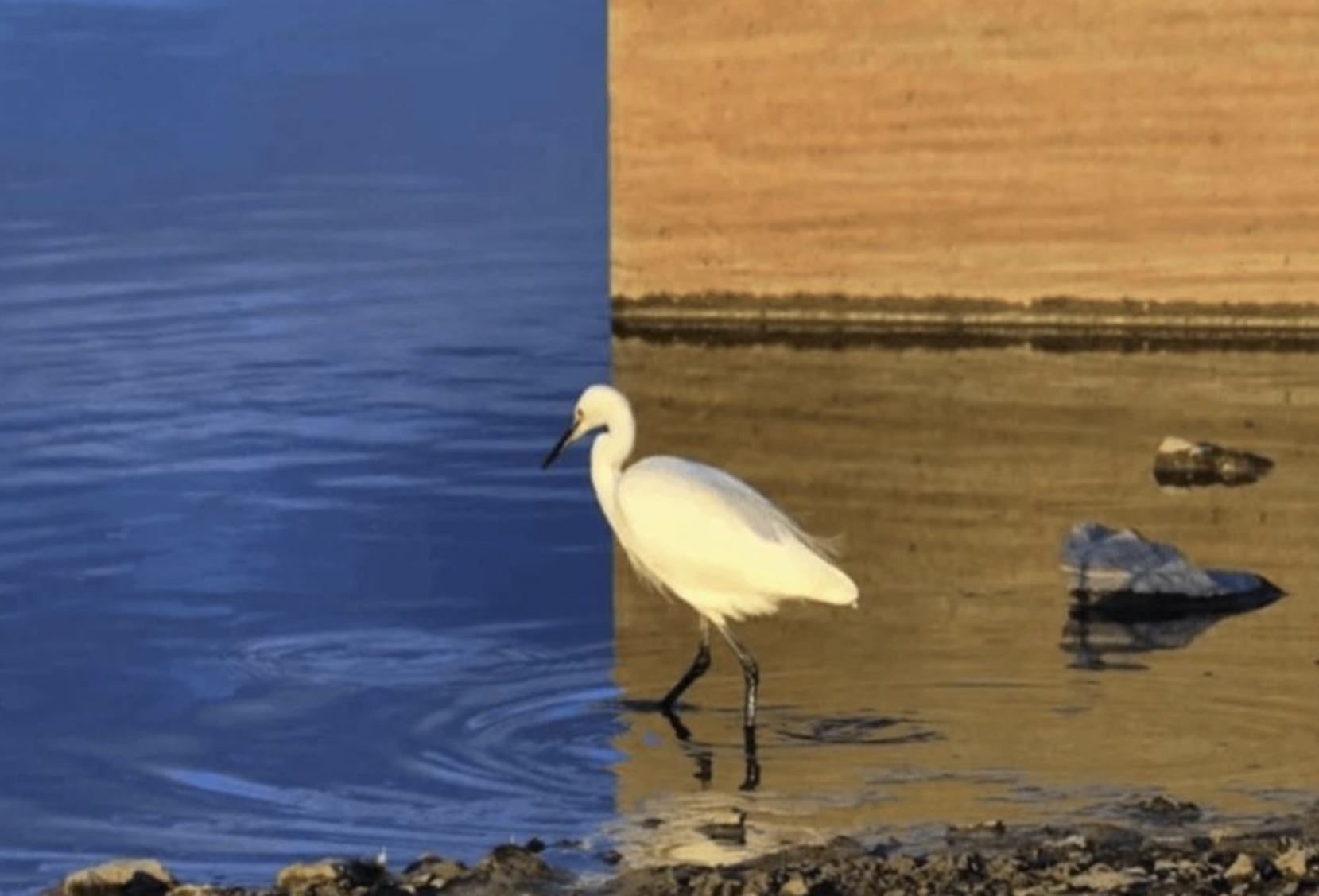 20 Photos With Brain-Breaking Optical Illusions | eBaum's World