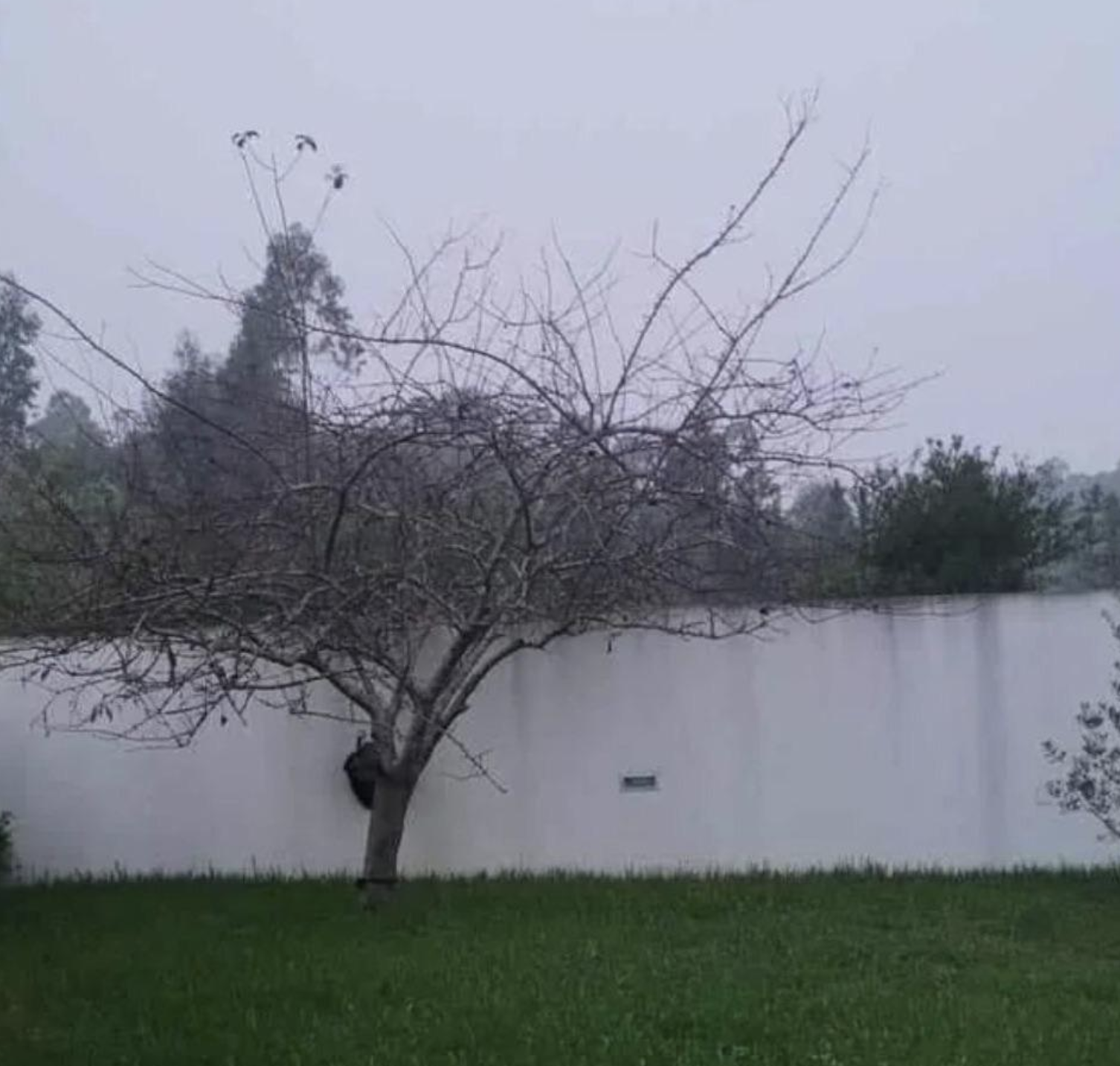 20 Photos With Brain-Breaking Optical Illusions | eBaum's World
