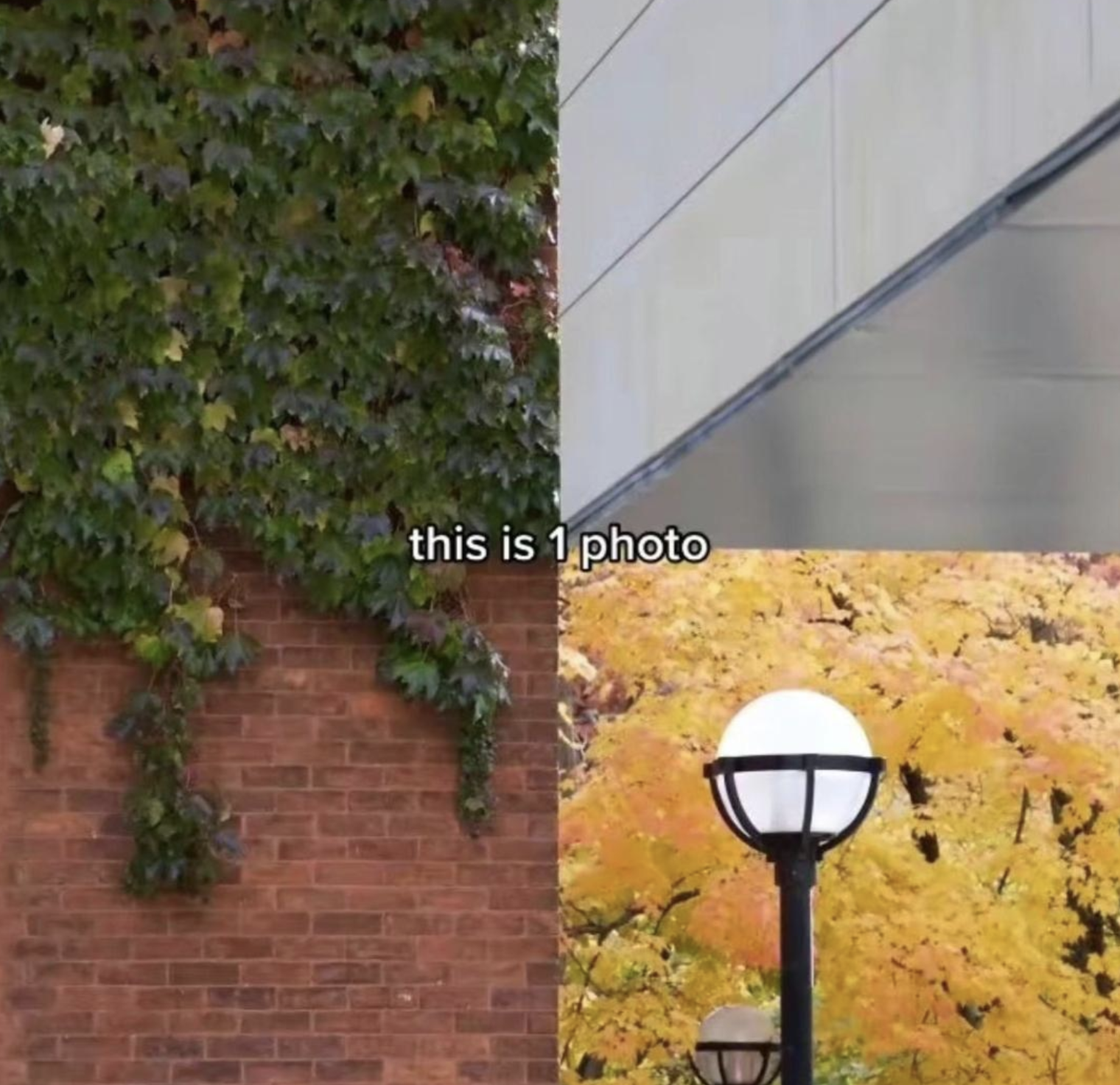 20 Photos With Brain-Breaking Optical Illusions | eBaum's World