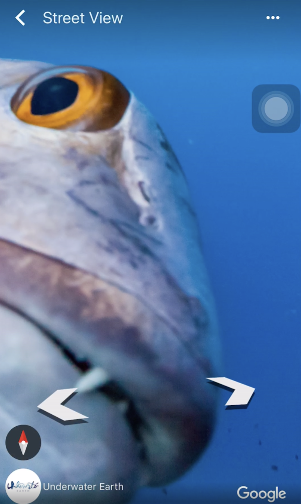 21 Weird and Questionable Things Found On Google Maps | eBaum's World