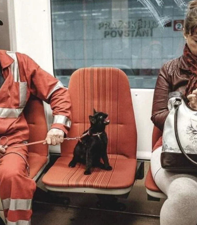 22 Crazy Things People Saw On the Subway | eBaum's World