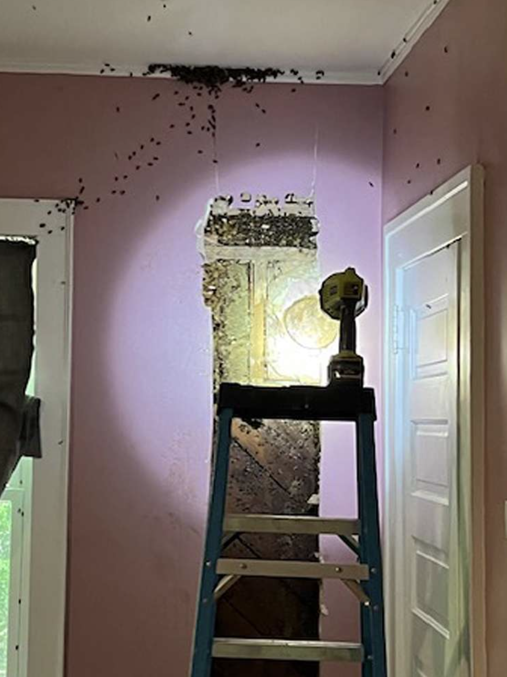 21 Weird and Creepy Things People Found In Their Walls | eBaum's World