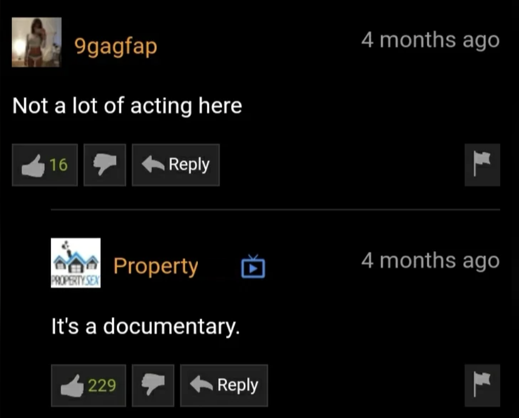 The 24 Most Out-of-Context Comments People Left On Adult Videos | eBaum ...