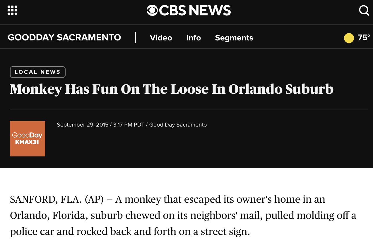 17 Times Bad Monkeys Made the News | eBaum's World