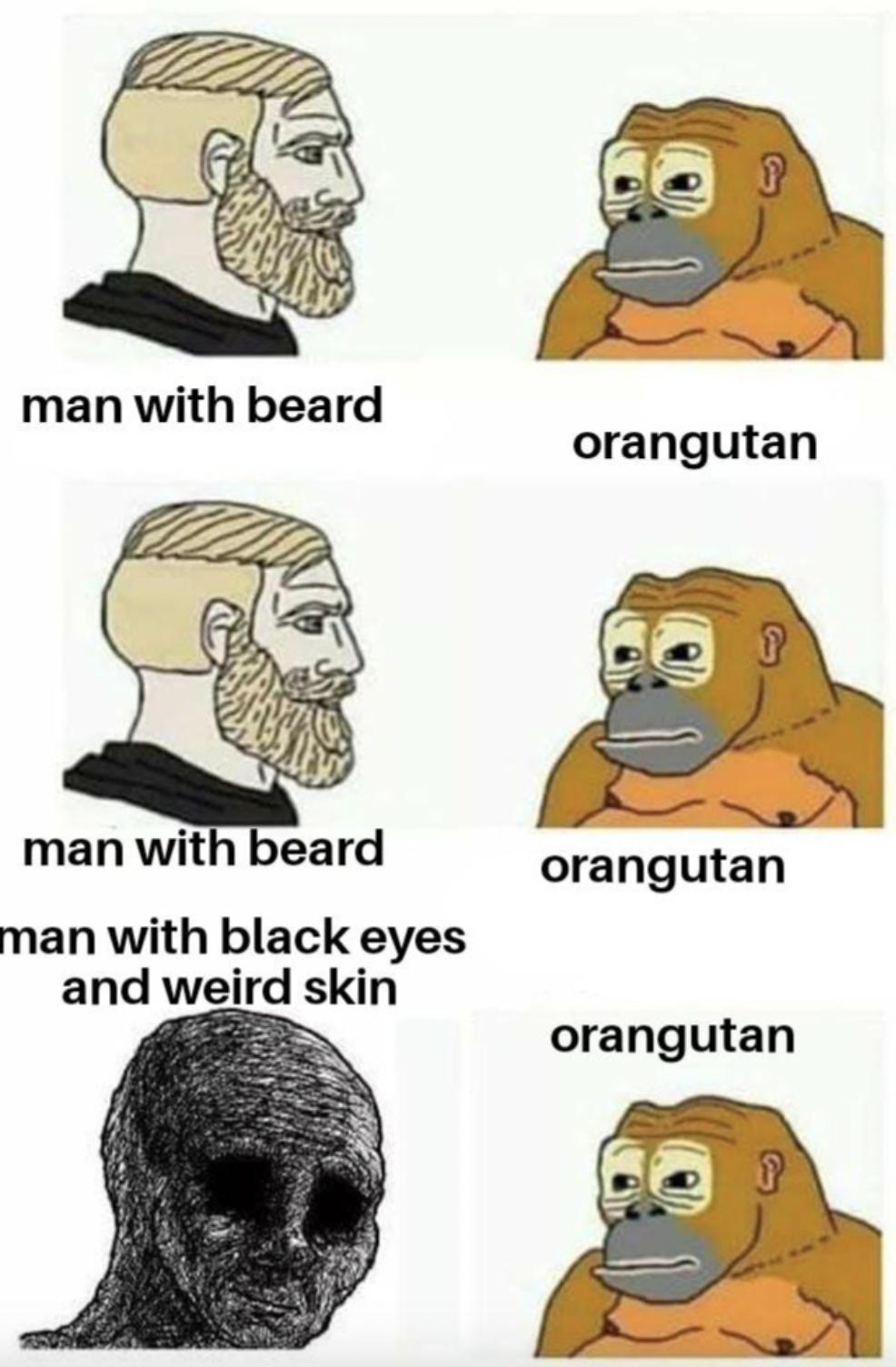 23 Funny Memes for People With a Dry Sense of Humor | eBaum's World