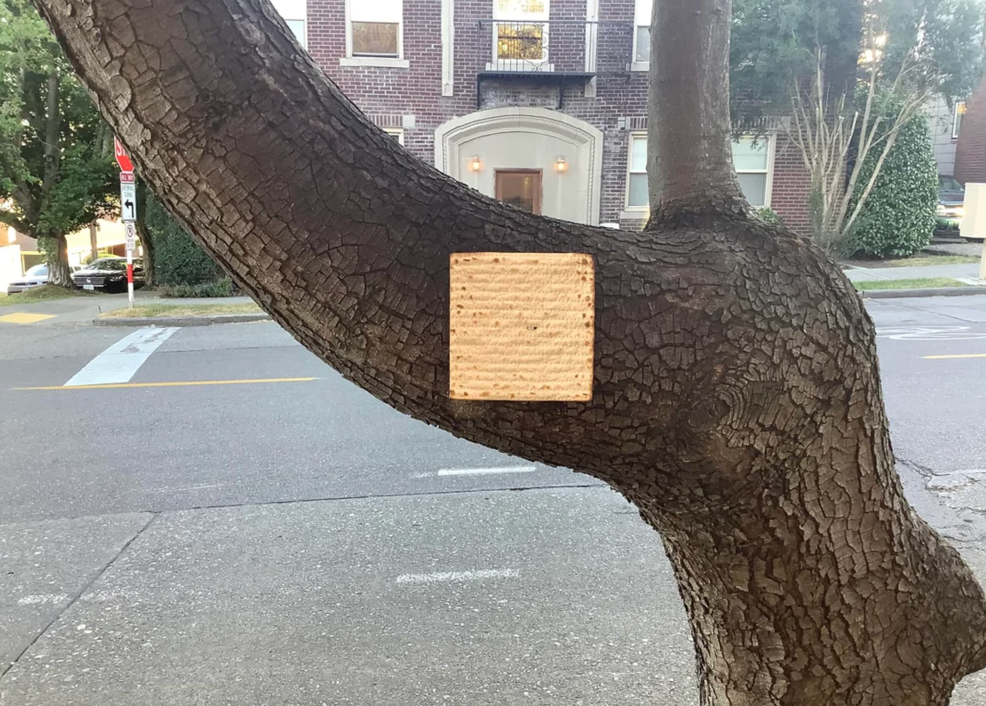 24 Photos of Bread Inexplicably Stapled to Trees | eBaum's World
