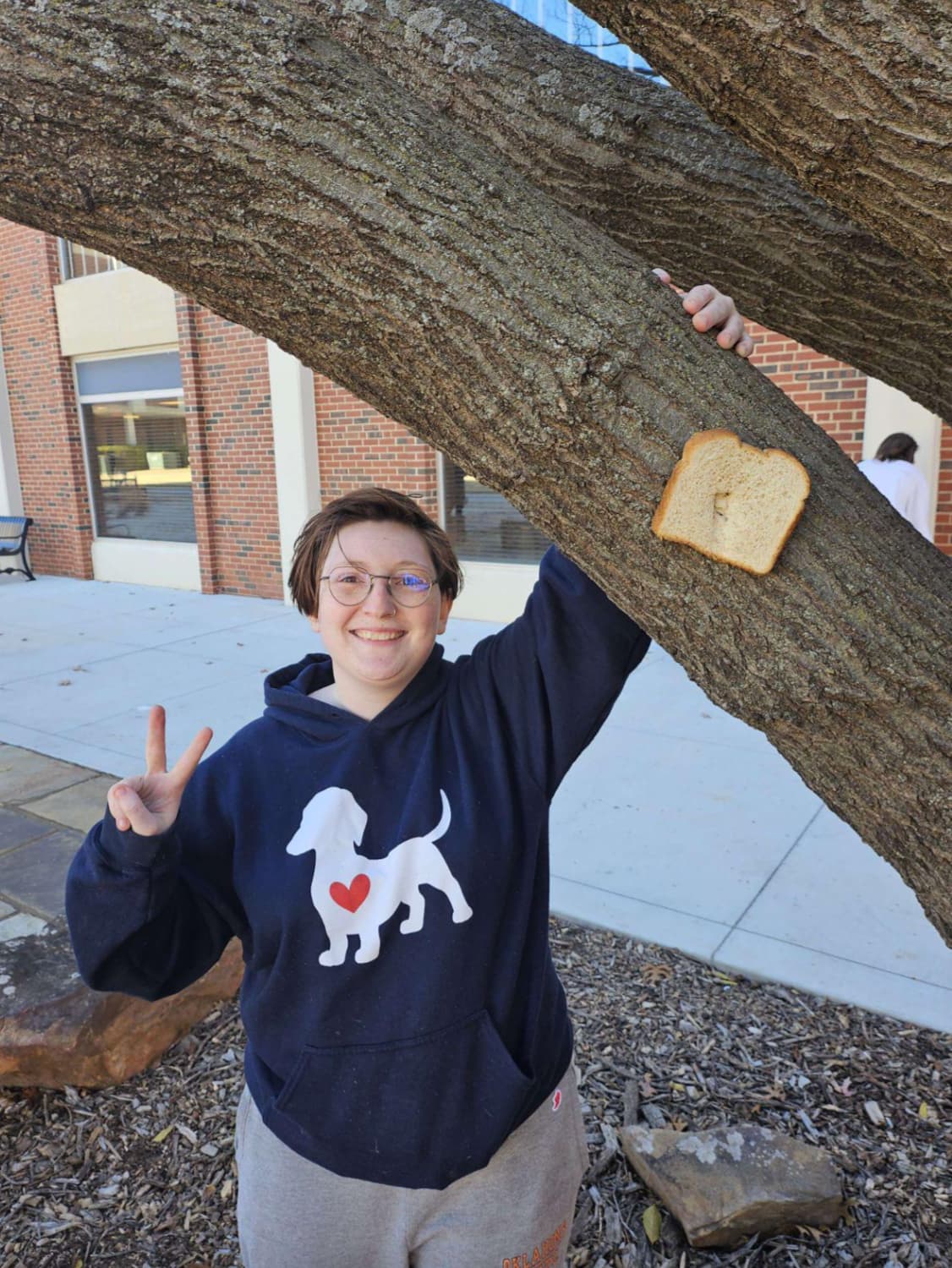 24 Photos of Bread Inexplicably Stapled to Trees | eBaum's World