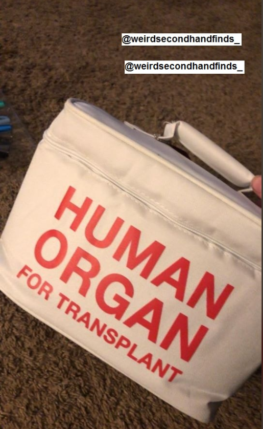 39 Weird Things People Bought While Thrifting | eBaum's World