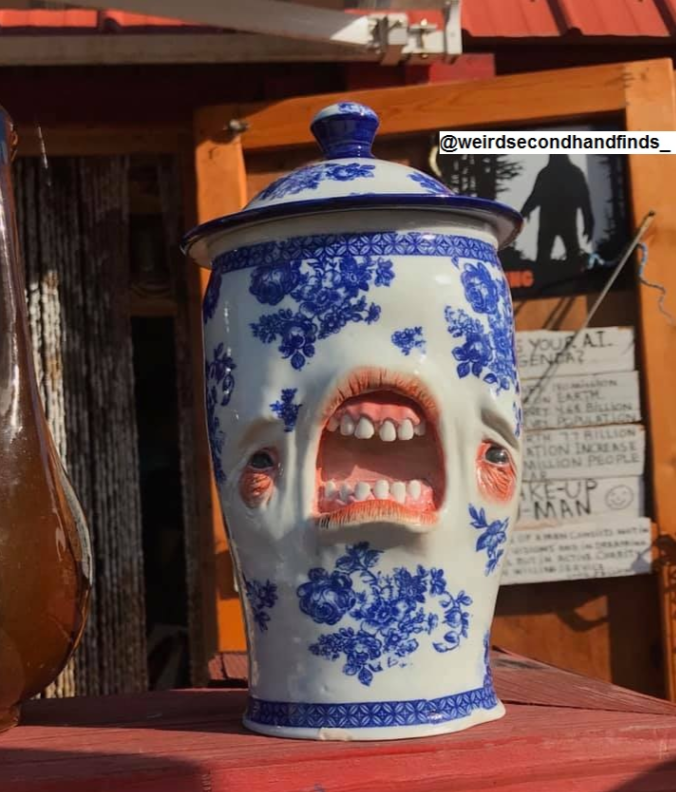 39 Weird Things People Bought While Thrifting | eBaum's World