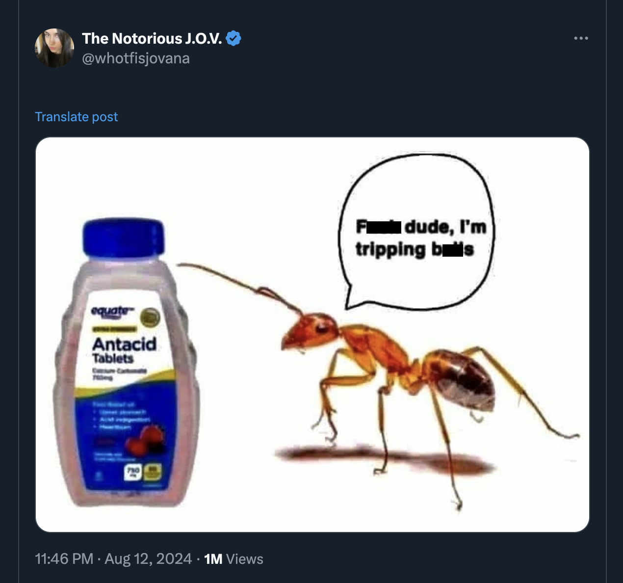 The Funniest Tweets of the Day, Tuesday, August 13, 2024 | eBaum's World