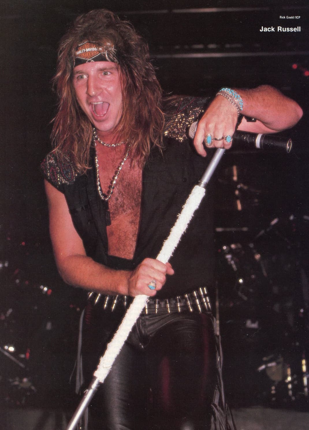 21 Fun Photos Honoring Jack Russell and Great White | eBaum's World