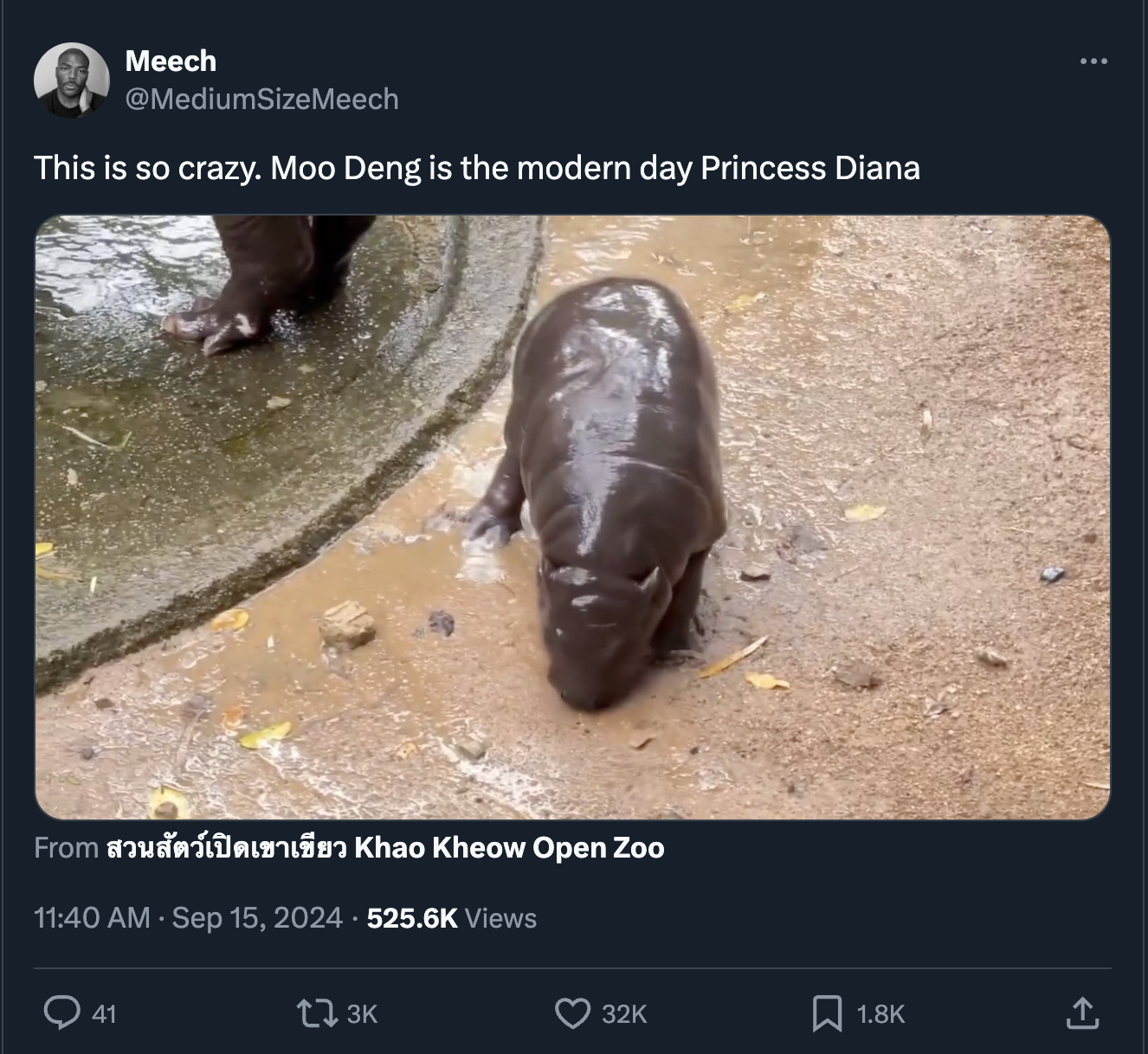 39 More Moo Deng Tweets to Kickstart Your Week | eBaum's World
