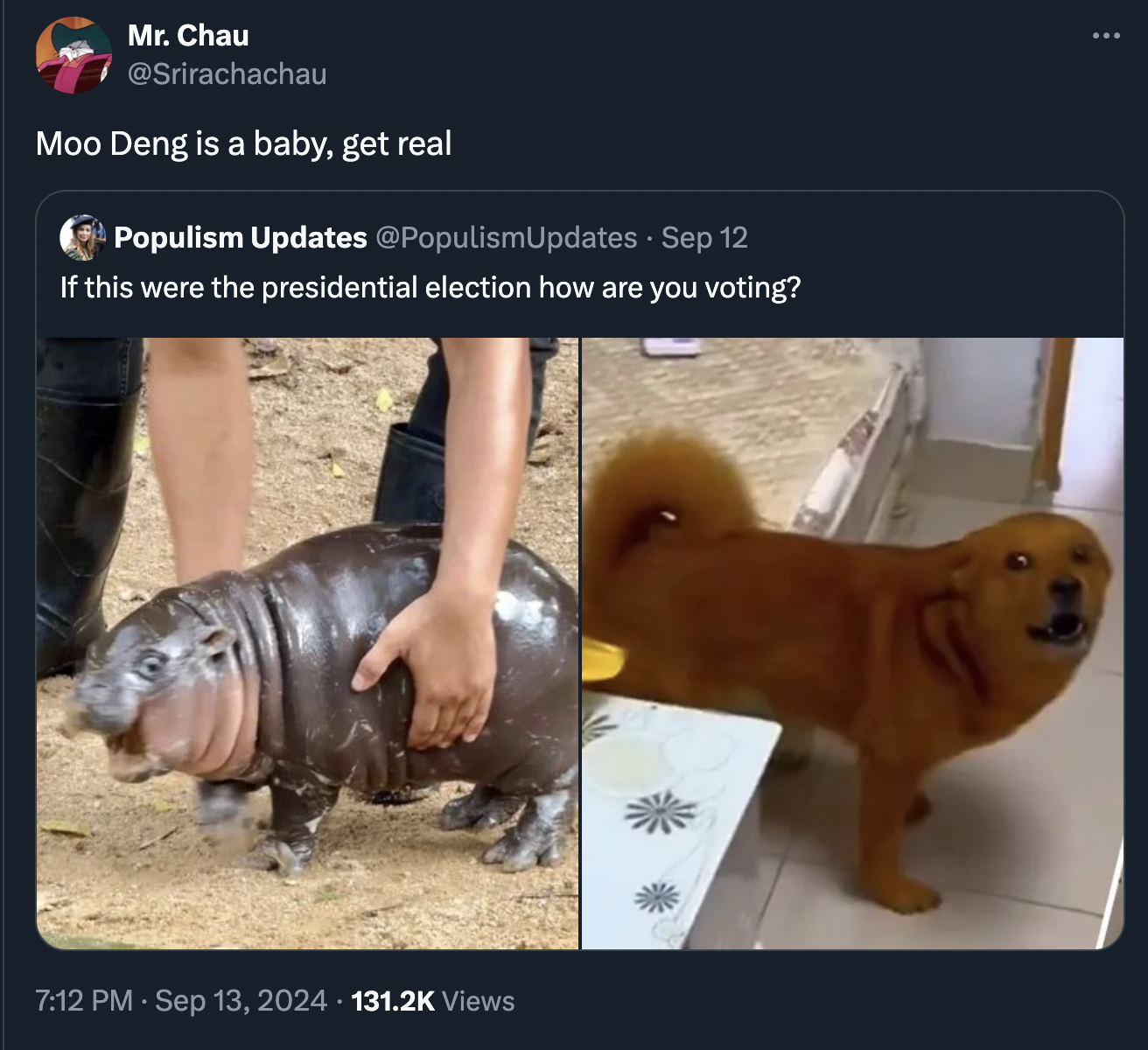 39 More Moo Deng Tweets to Kickstart Your Week | eBaum's World