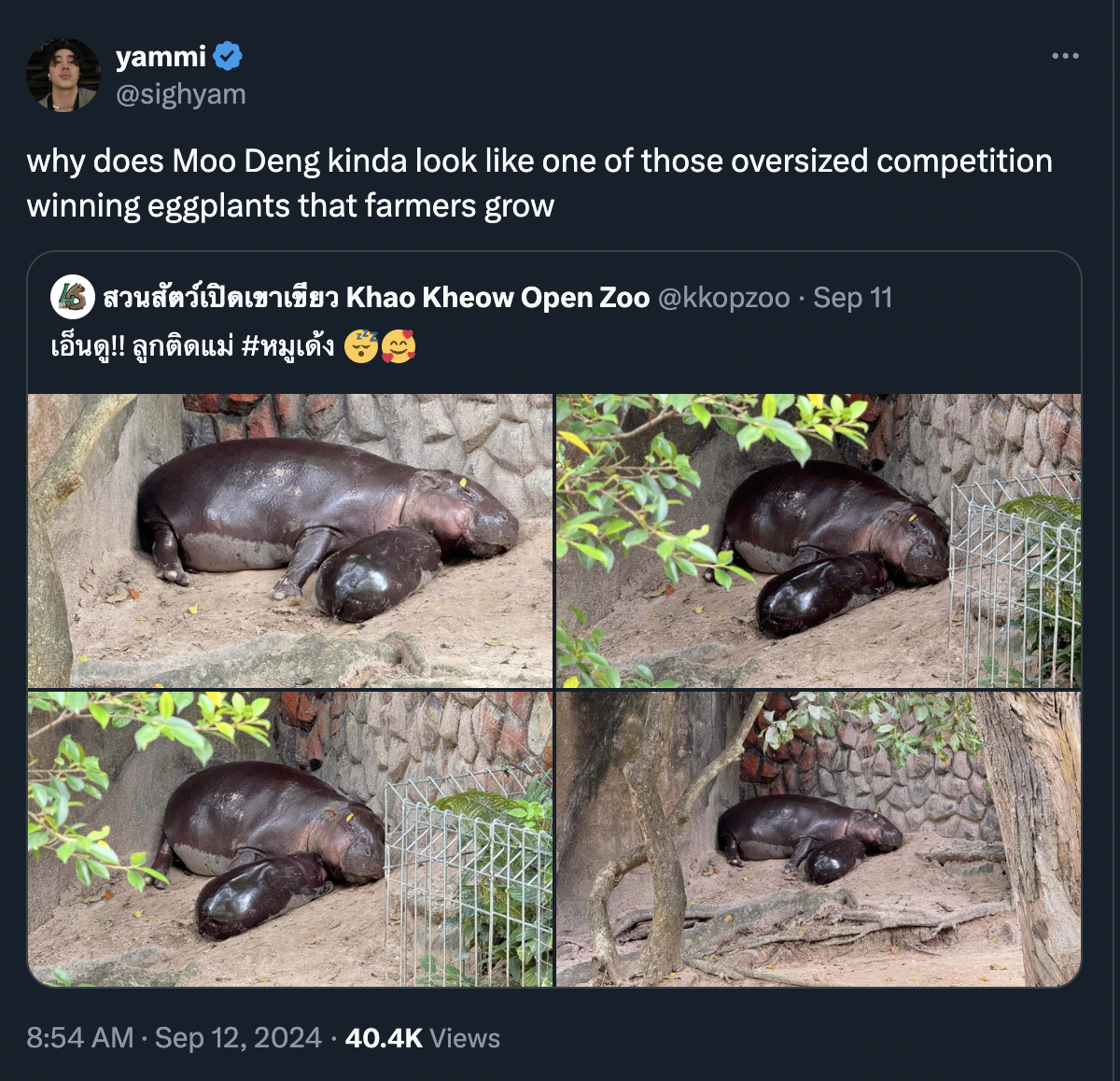 39 More Moo Deng Tweets to Kickstart Your Week | eBaum's World