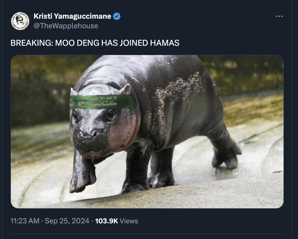 31 More Moo Deng Tweets Before We Moo Von | eBaum's World