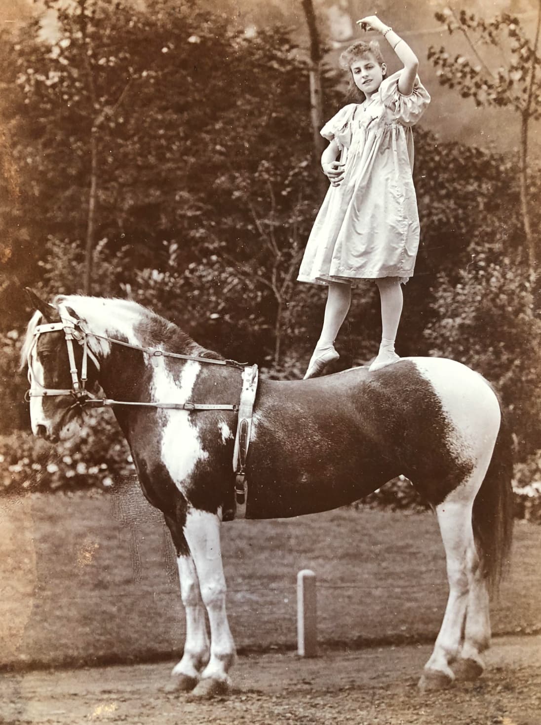 20 High-Flying Photos Of Old-School Acrobats | eBaum's World