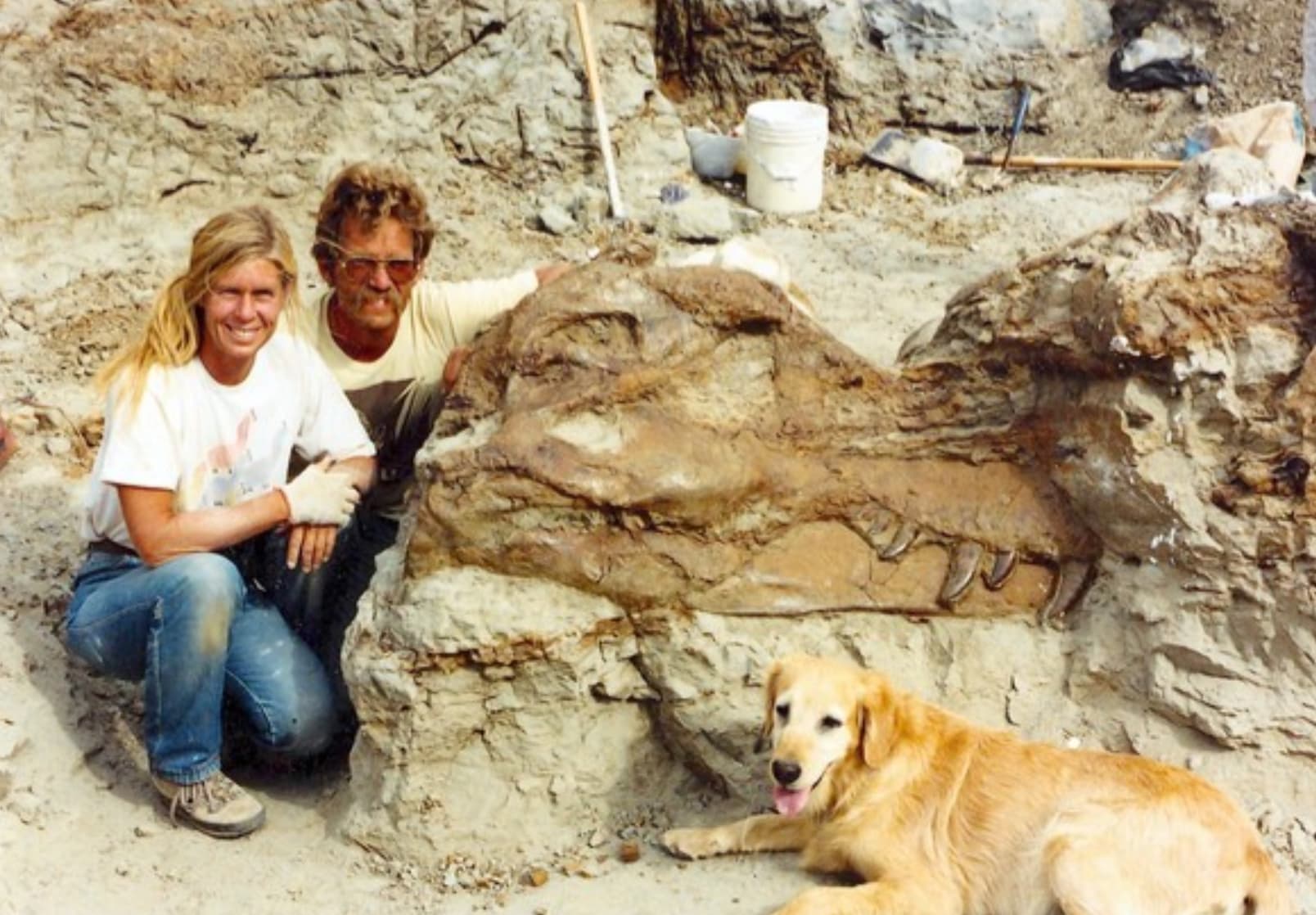 The Year 1990: Represented in a Collection of Images | eBaum's World