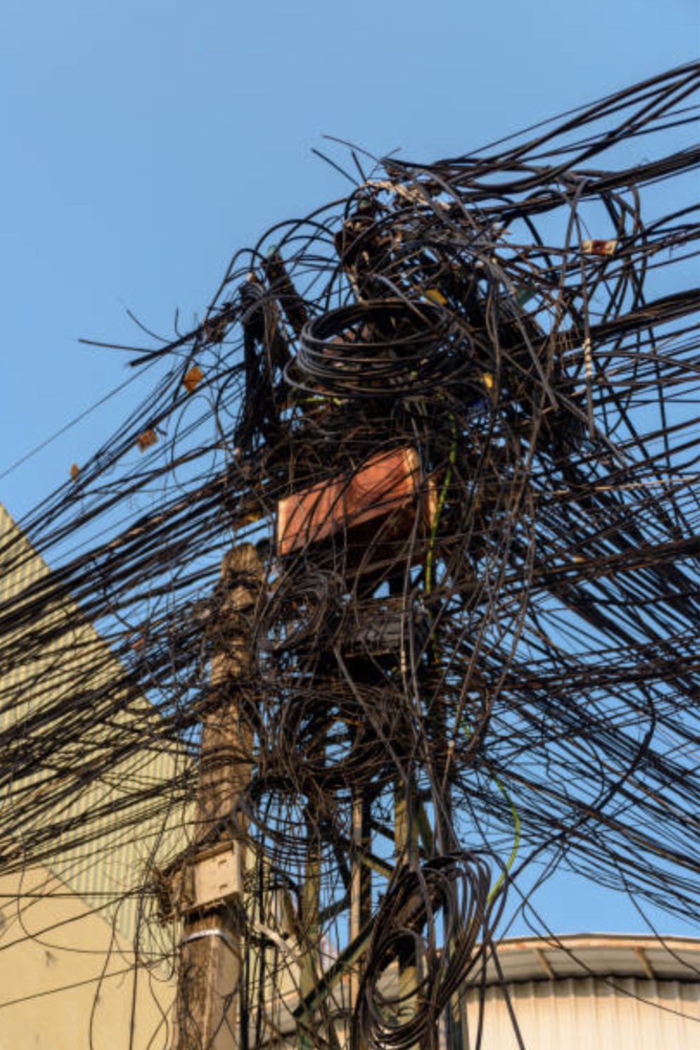 Overgrown Telephone Poles That Need a Trim | eBaum's World