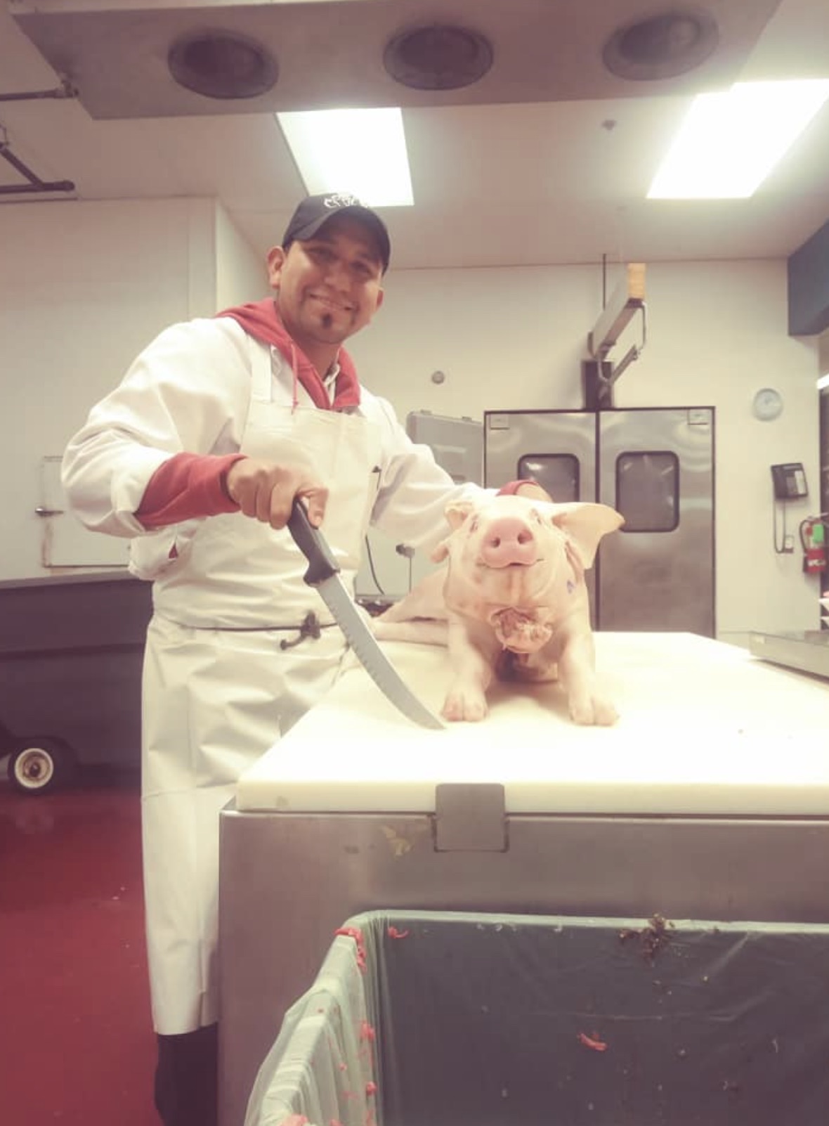 28 Men Proudly Showing Off Their Meat | eBaum's World