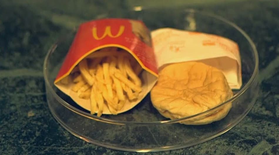 Iceland's Last Big Mac, Preserved for 15 Years | eBaum's World