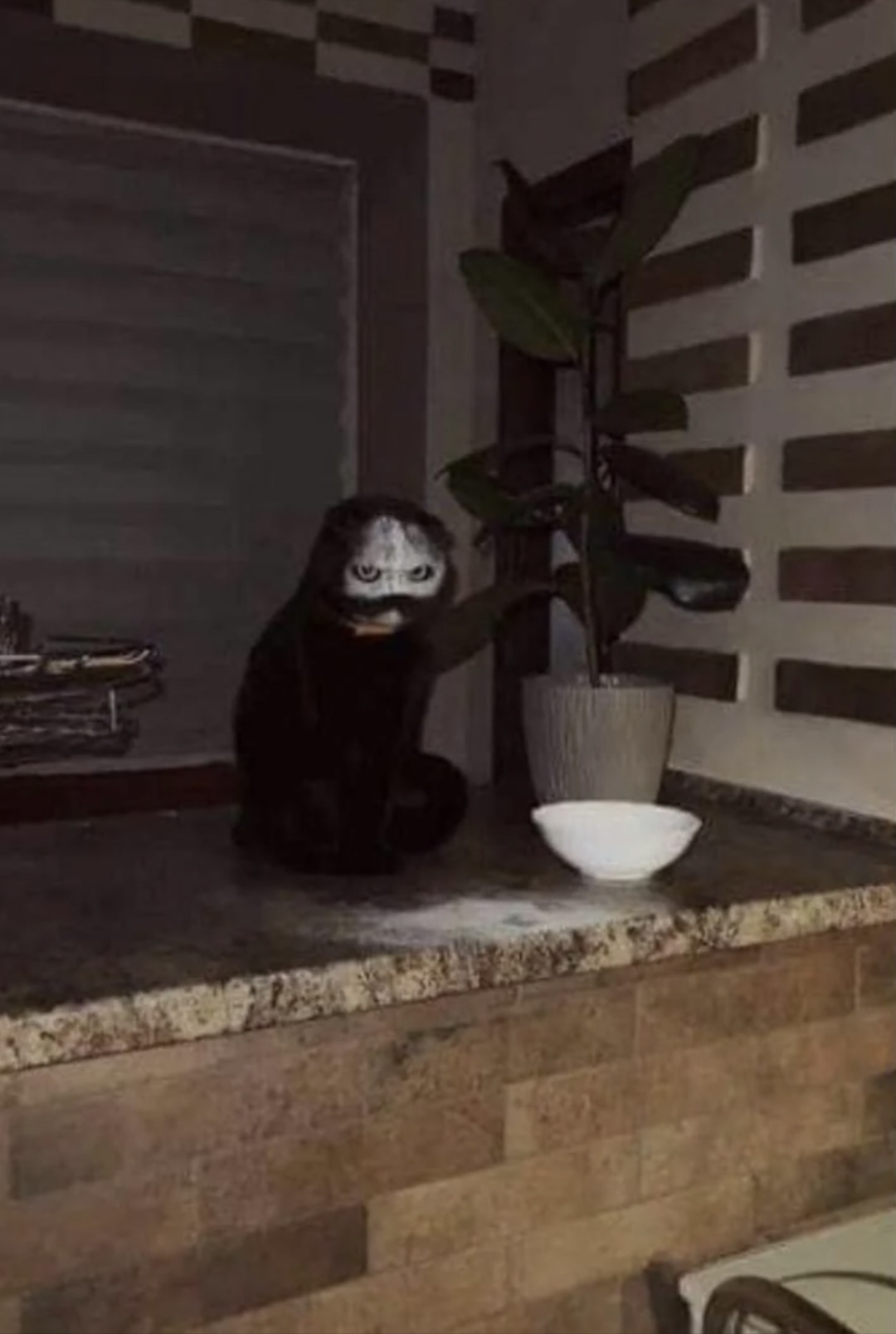 45 Late-Night Cursed Pics to Stay Up With | eBaum's World