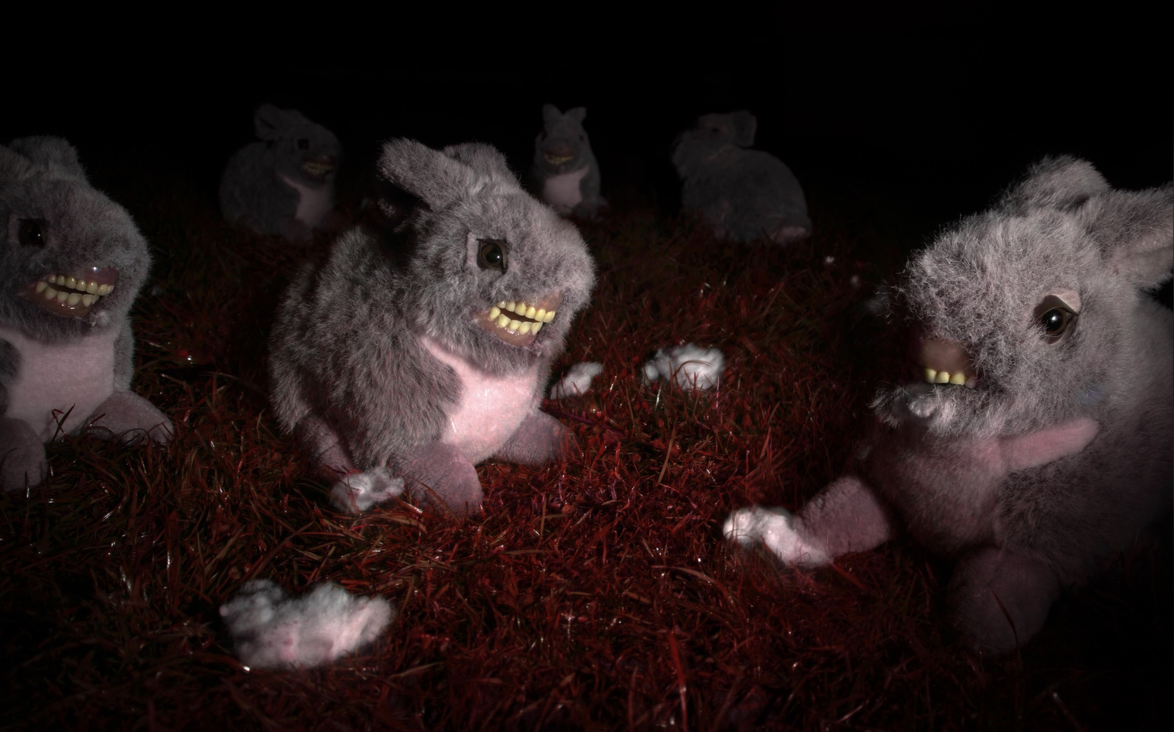 45 Late-Night Cursed Pics to Stay Up With | eBaum's World