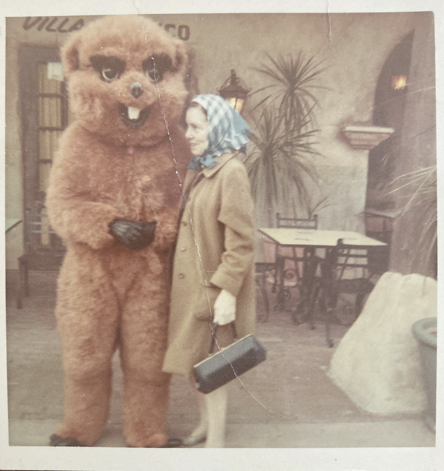 45 Late-Night Cursed Pics to Stay Up With | eBaum's World