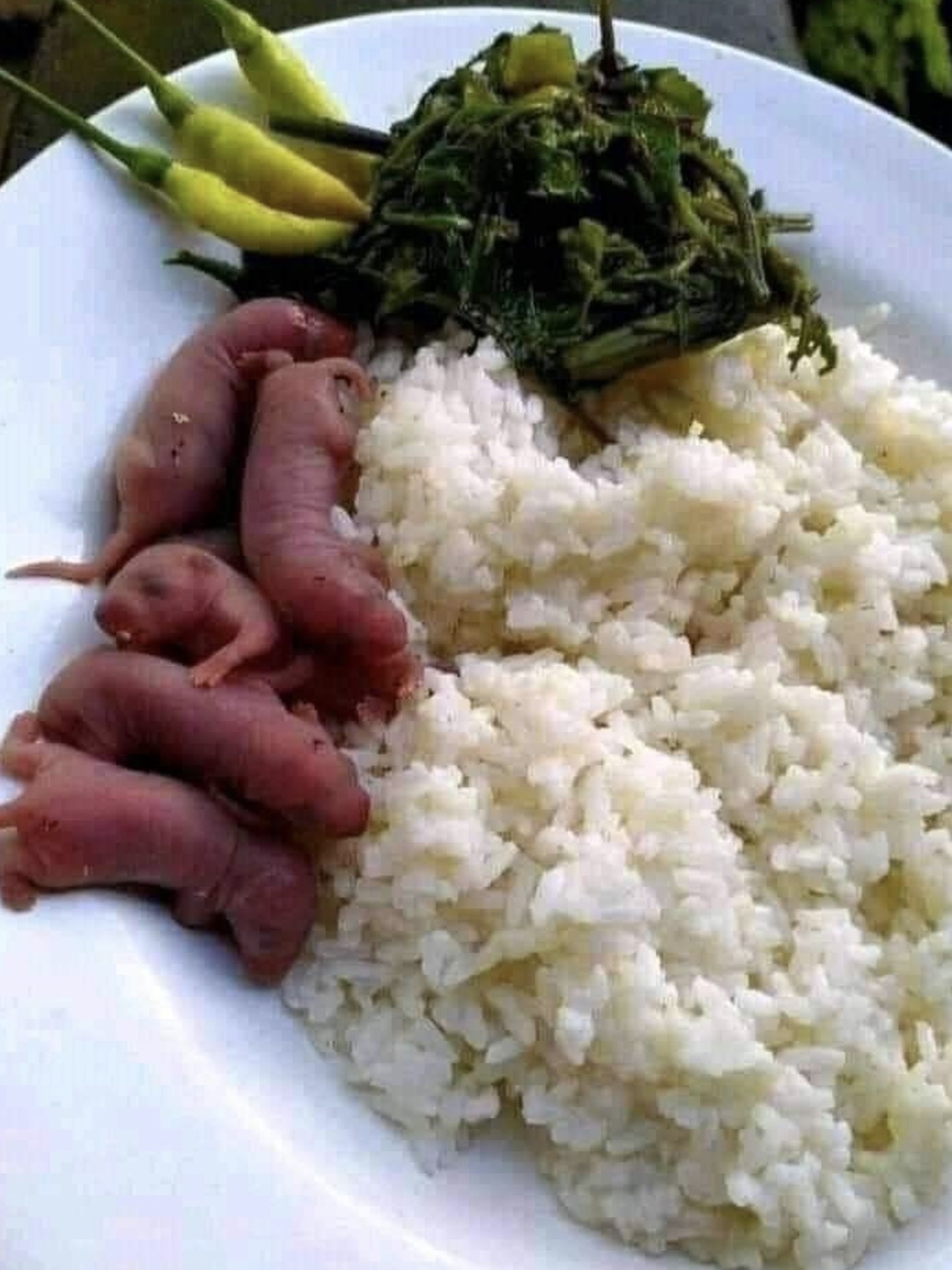 39 Funny Tweets and Cursed Thanksgiving Pics to Gobble Up | eBaum's World