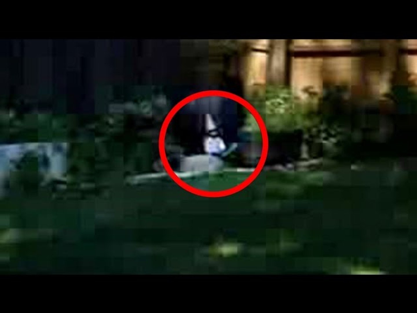 18 'Real-Life' Gnome Sightings Caught on Camera | eBaum's World