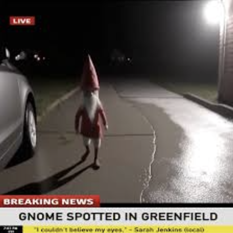 18 'Real-Life' Gnome Sightings Caught on Camera | eBaum's World