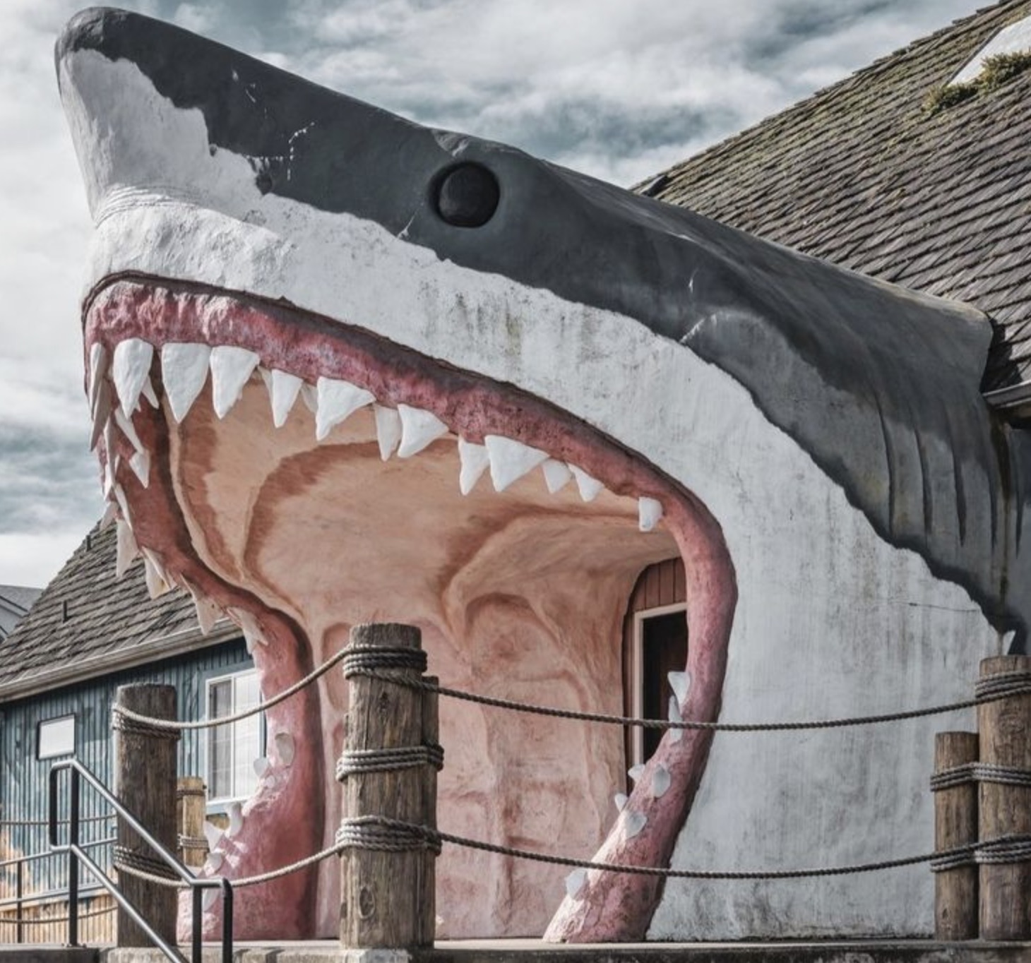 34 Radical Randoms to Waste the Day Away | eBaum's World