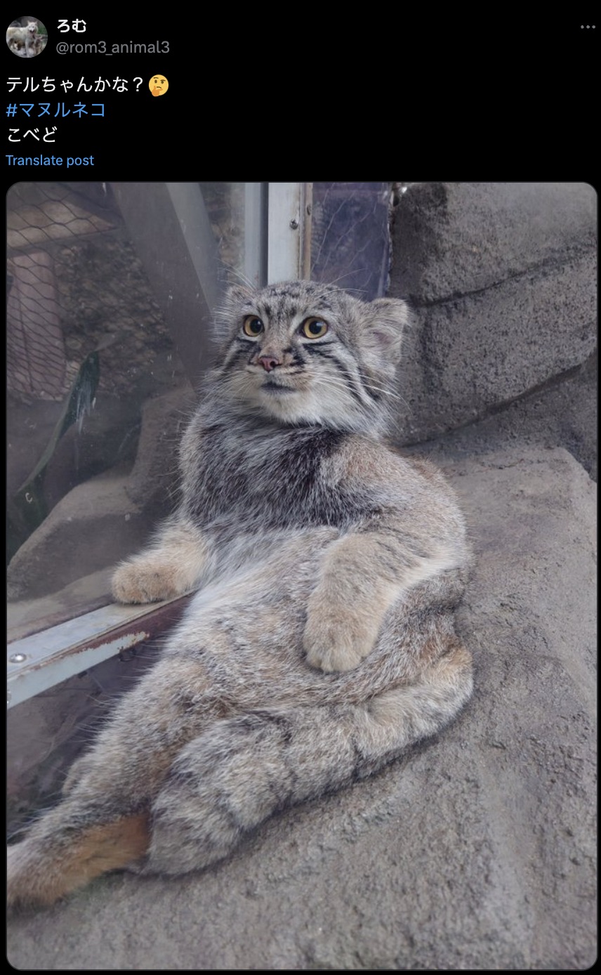 34 Radical Randoms to Waste the Day Away | eBaum's World