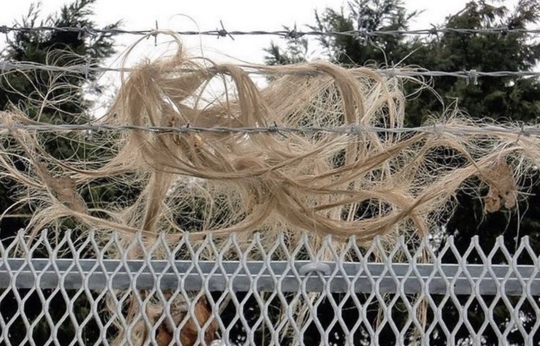 50 Cursed Randoms for a Terror-Filled Night's Sleep | eBaum's World