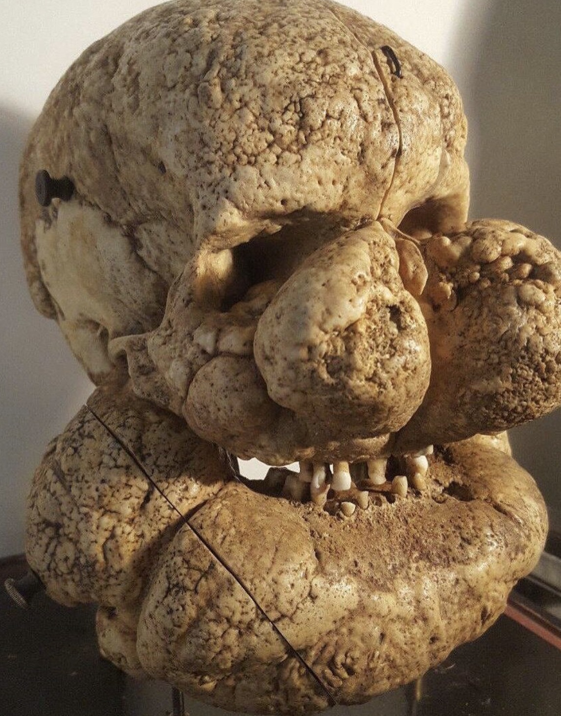 45 Cursed Randoms Crawling Underneath Your Skin | eBaum's World