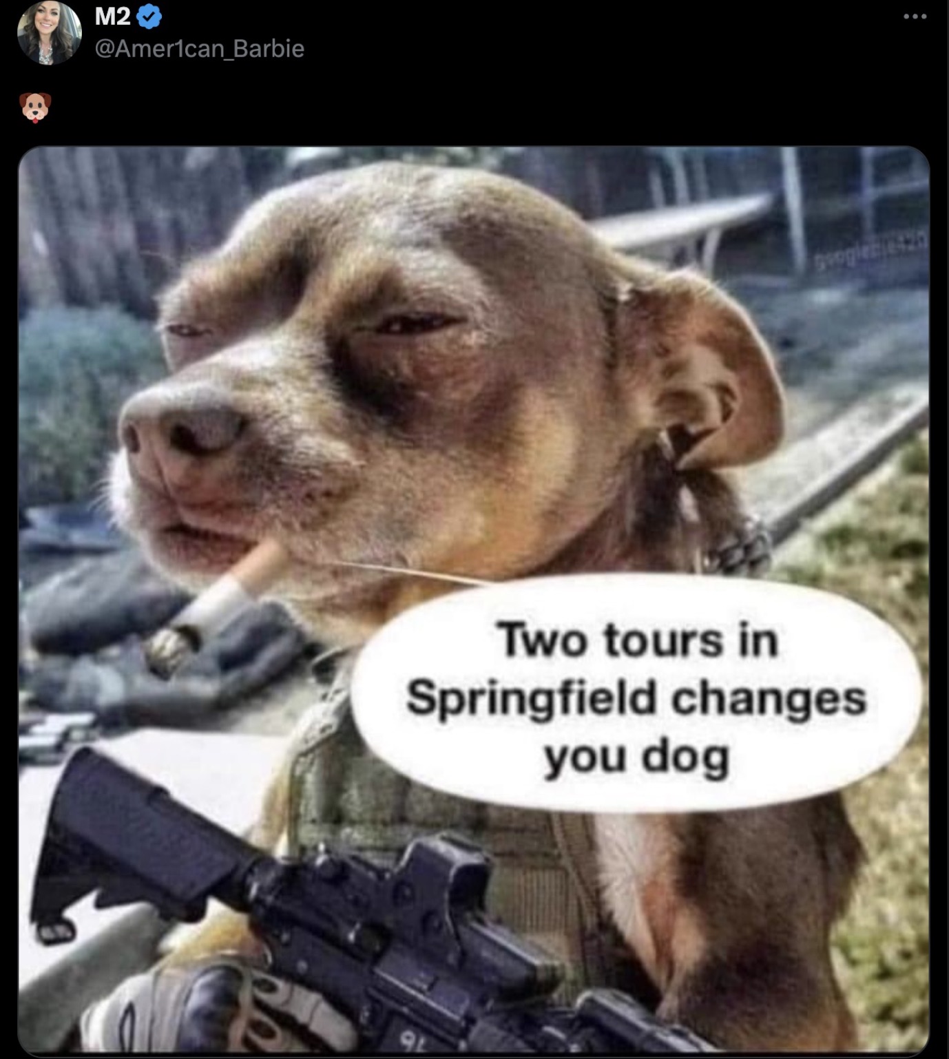 The 73 Funniest Tweets of 2024 | eBaum's World