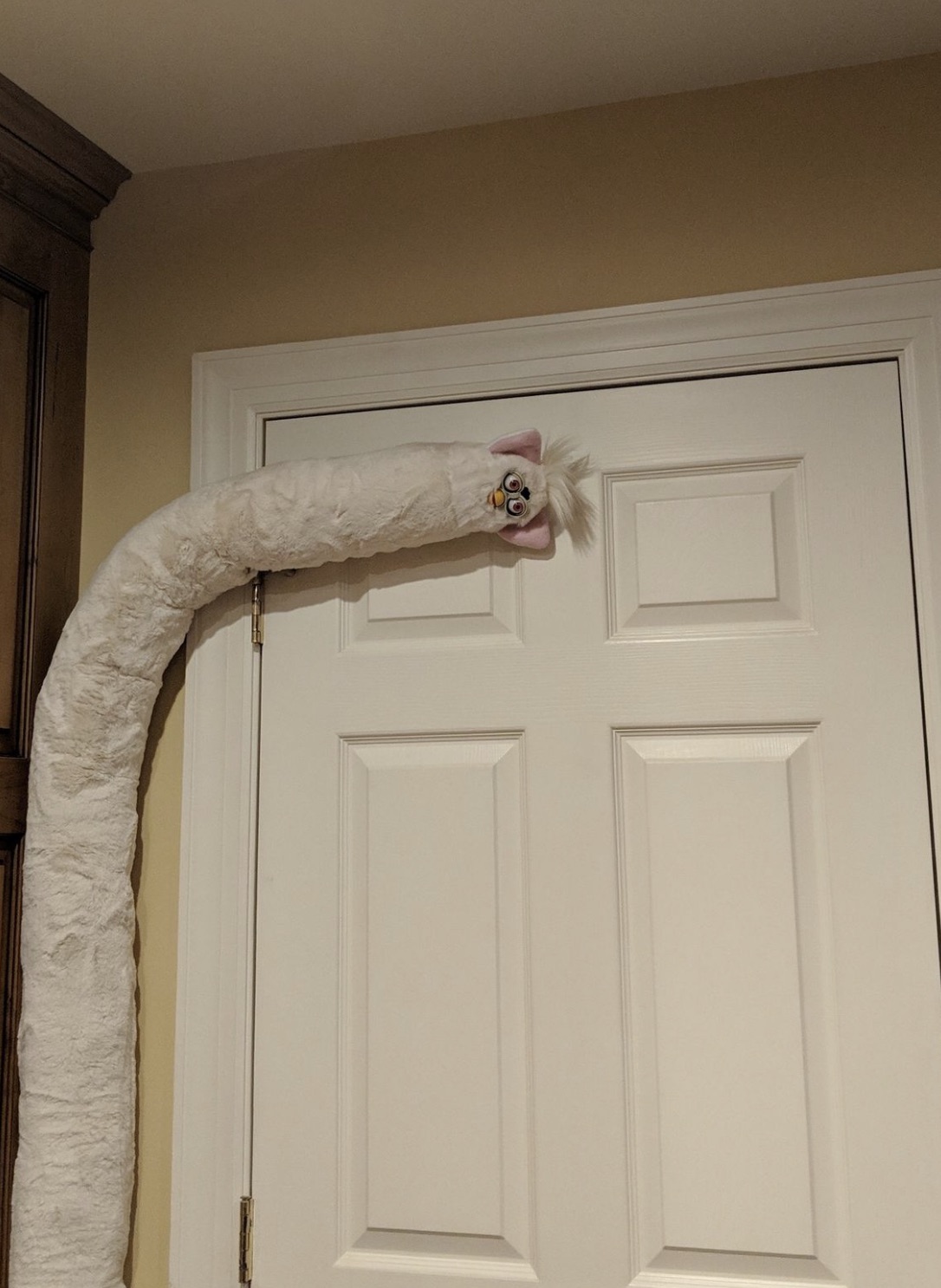 50 Cursed Pics to Traumatize Your Eyeballs | eBaum's World