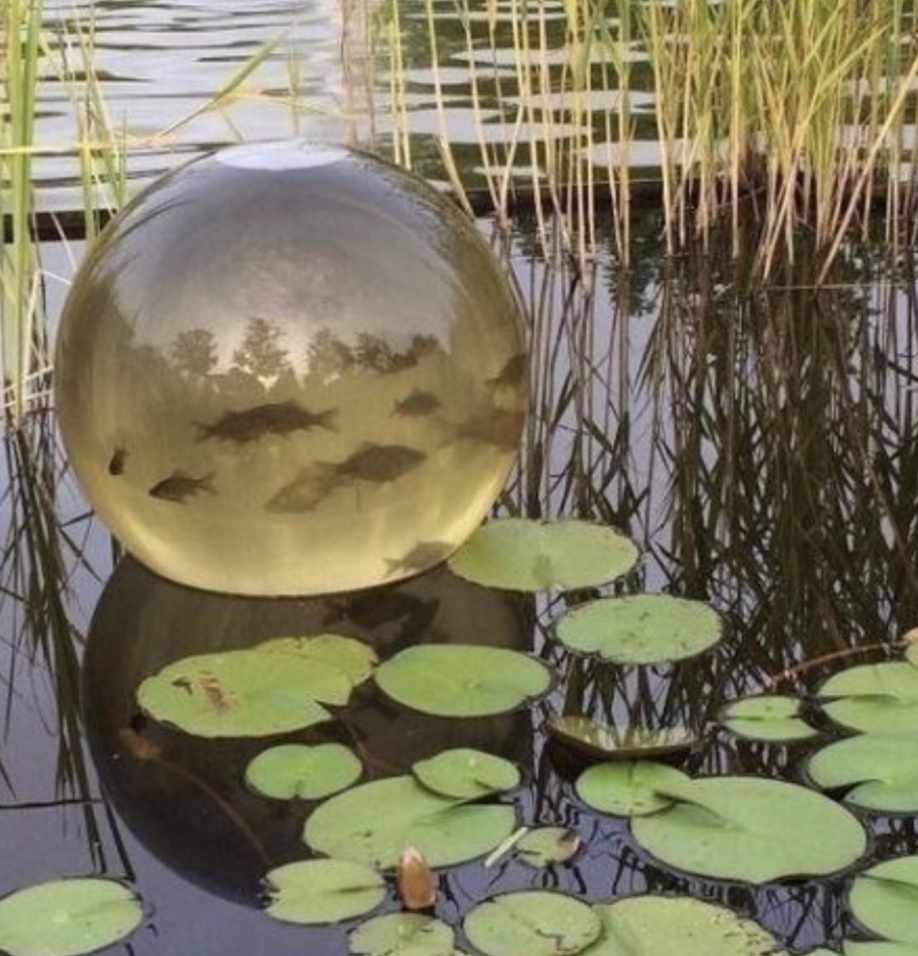 40 Fascinating Photos Providing Stimulating Imagery | eBaum's World