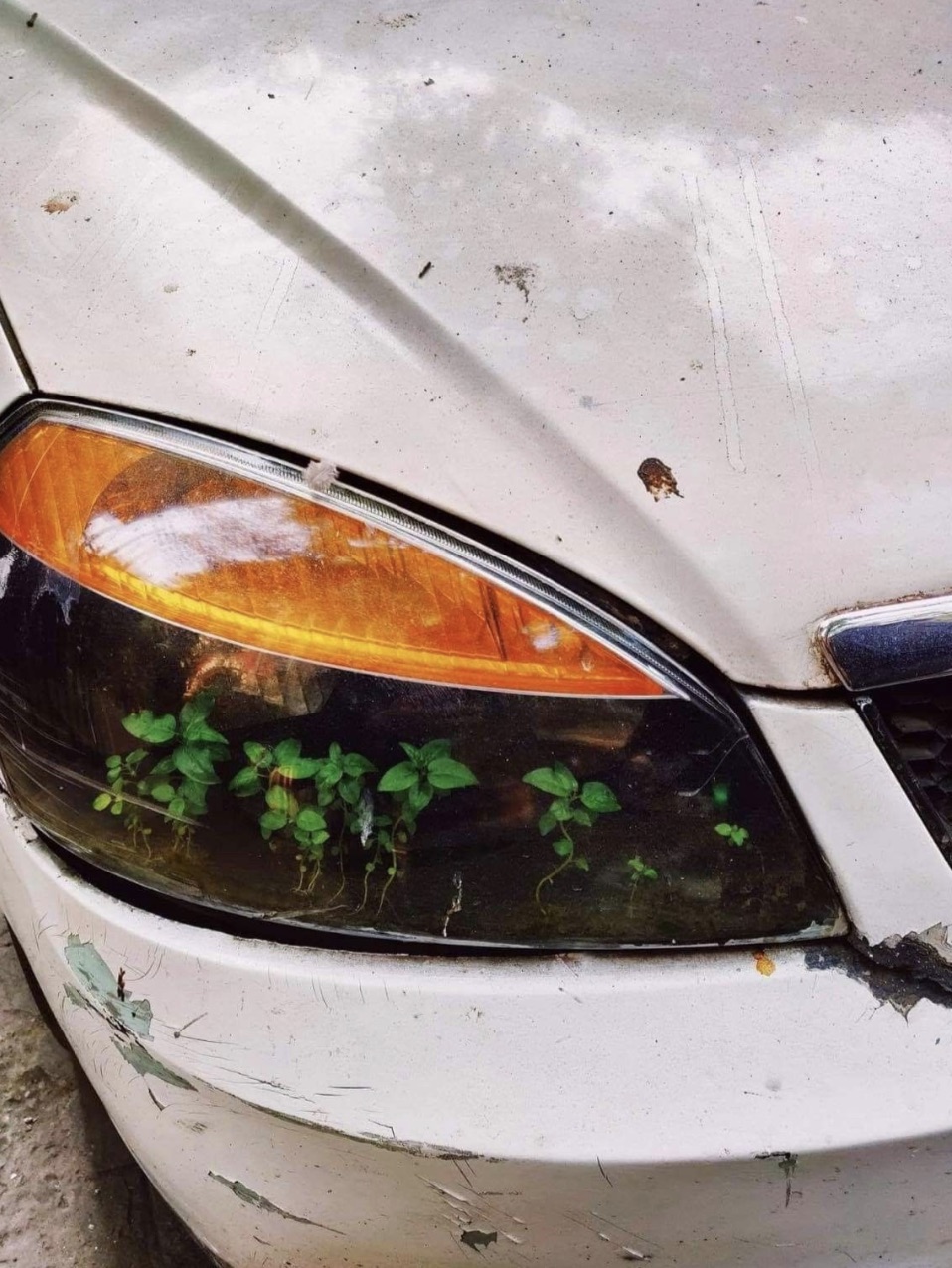 40 Fascinating Photos Providing Stimulating Imagery | eBaum's World