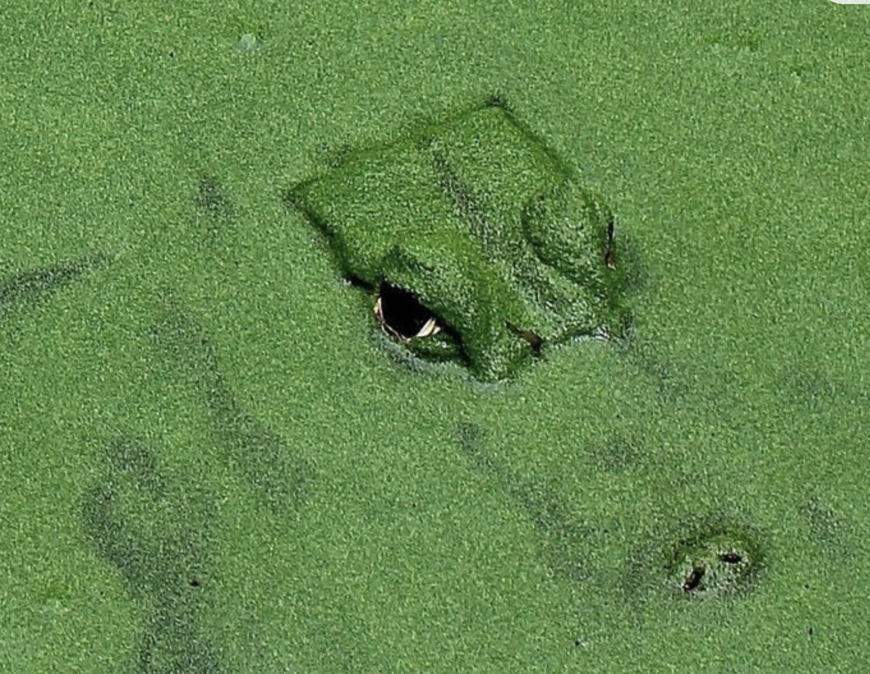 40 Fascinating Photos Providing Stimulating Imagery | eBaum's World