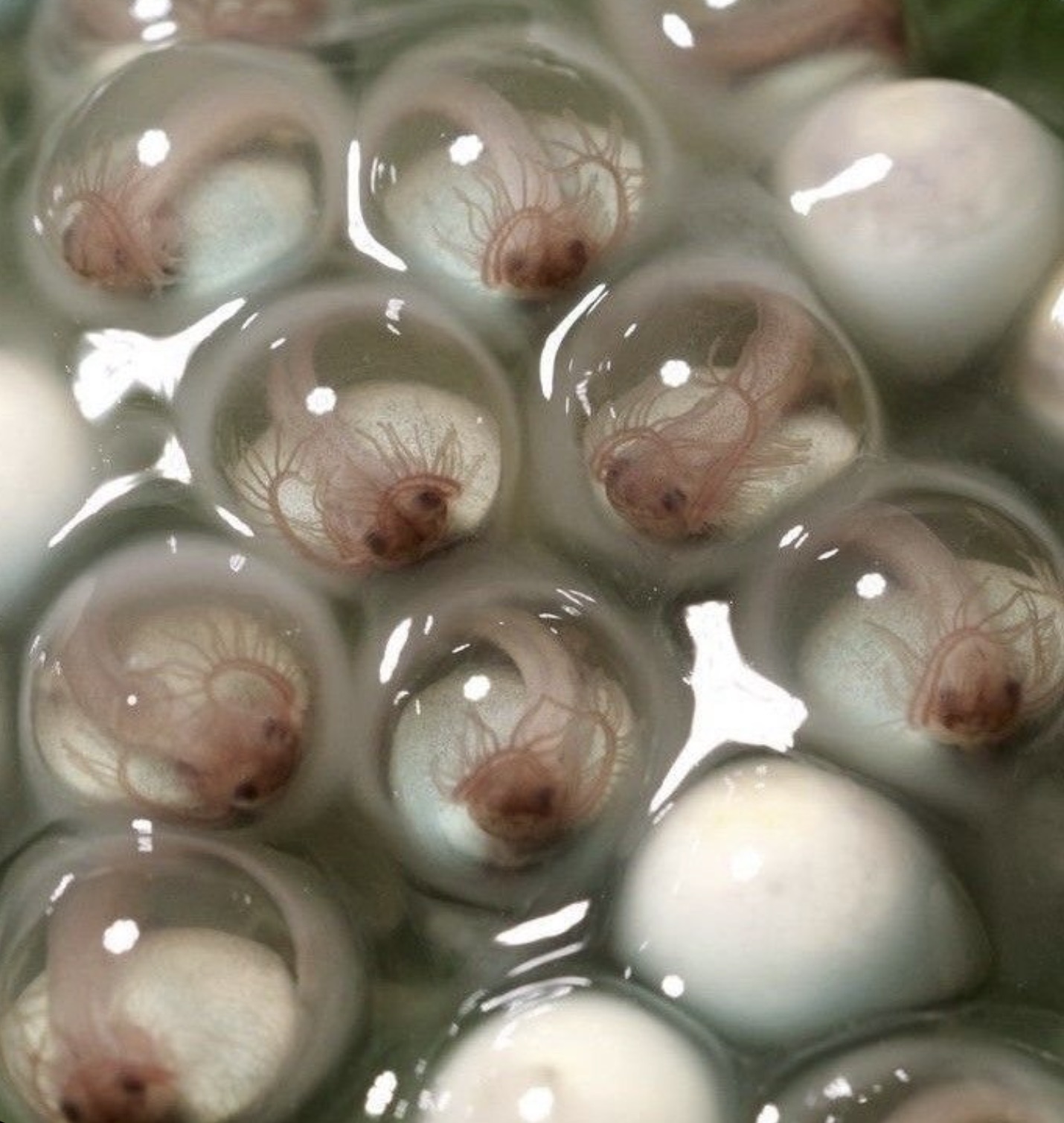 40 Fascinating Photos Providing Stimulating Imagery | eBaum's World