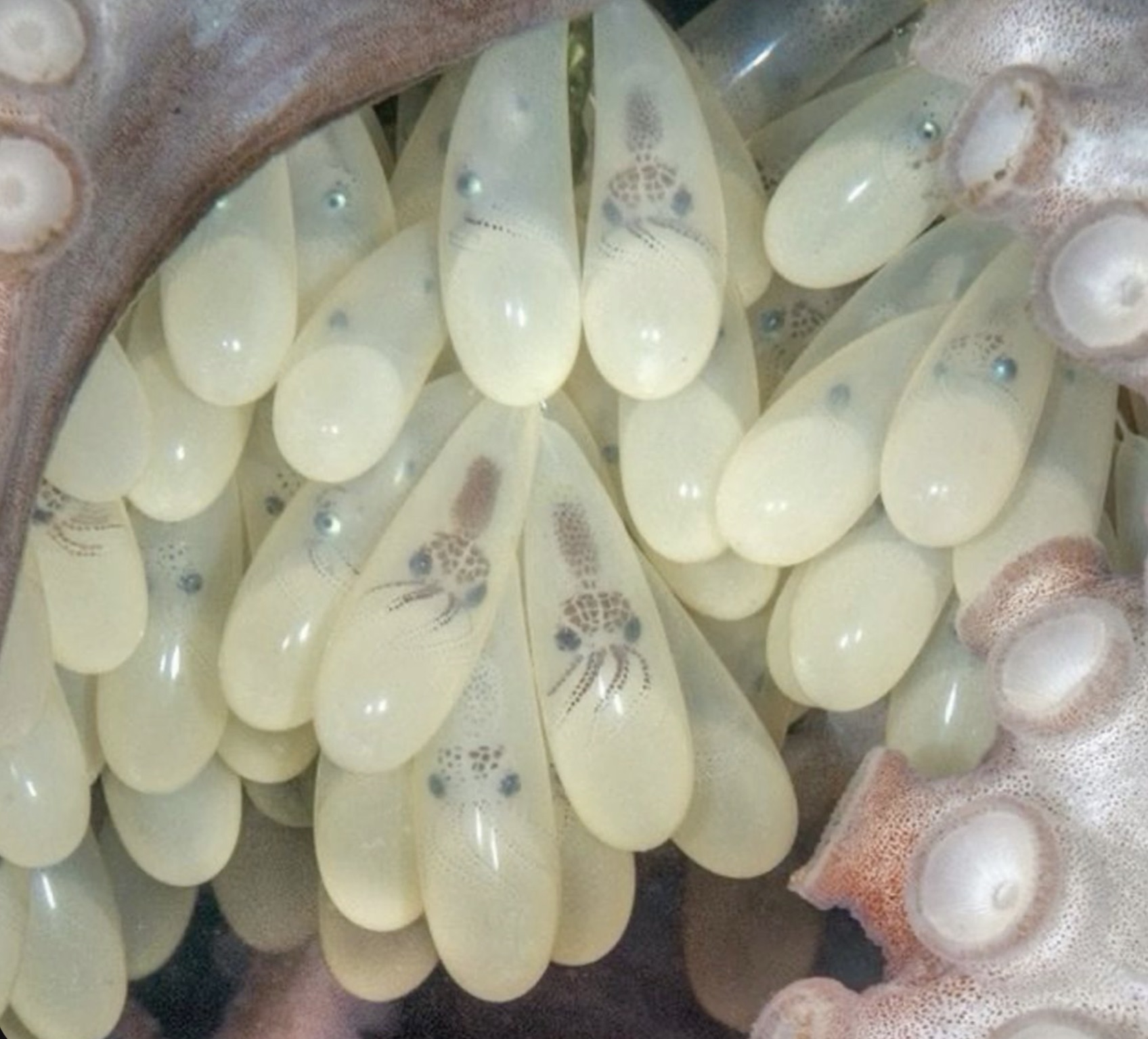 40 Fascinating Photos Providing Stimulating Imagery | eBaum's World