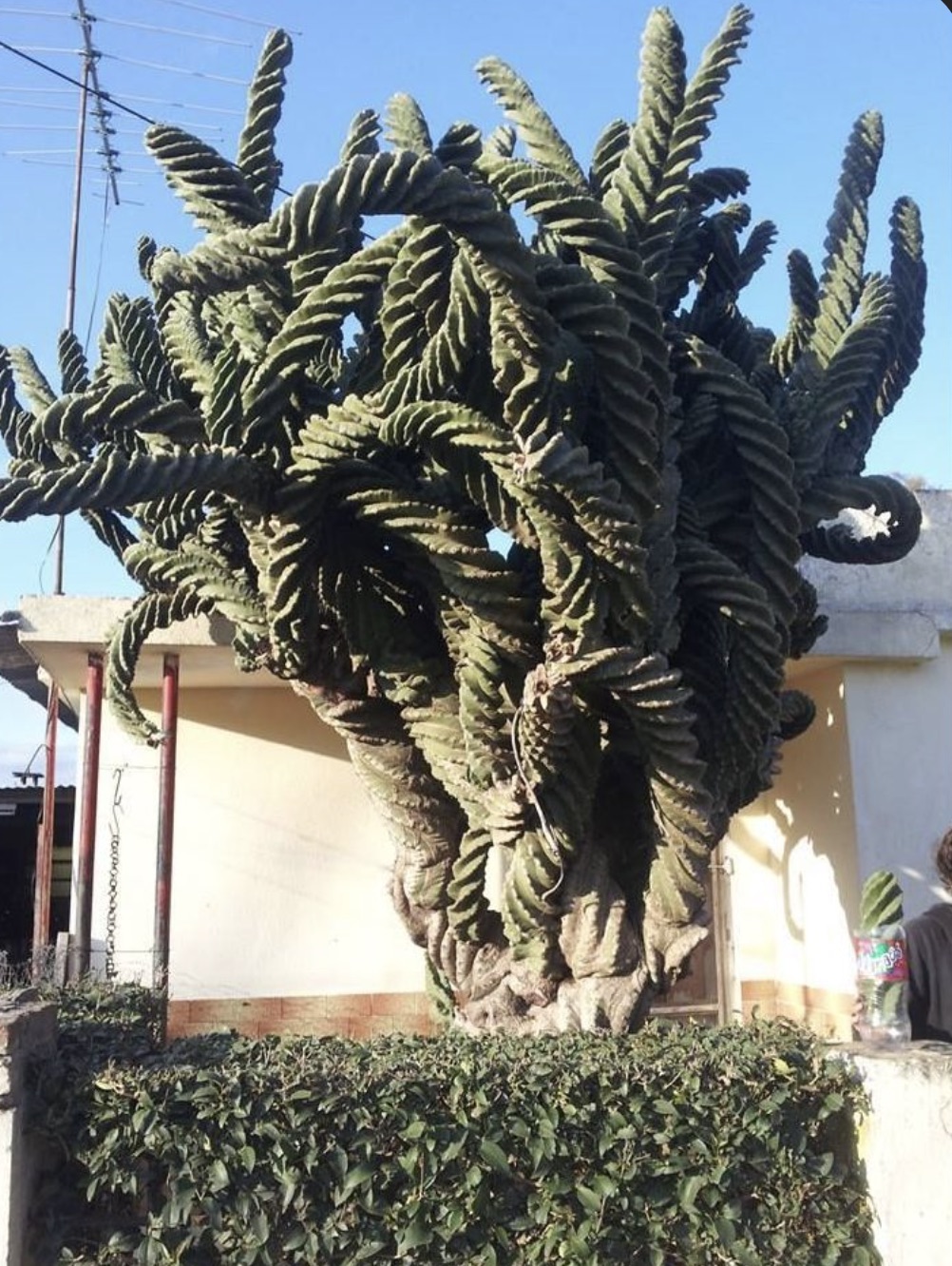 30 Friday Morning Randoms to Start Your Weekend Weird | eBaum's World